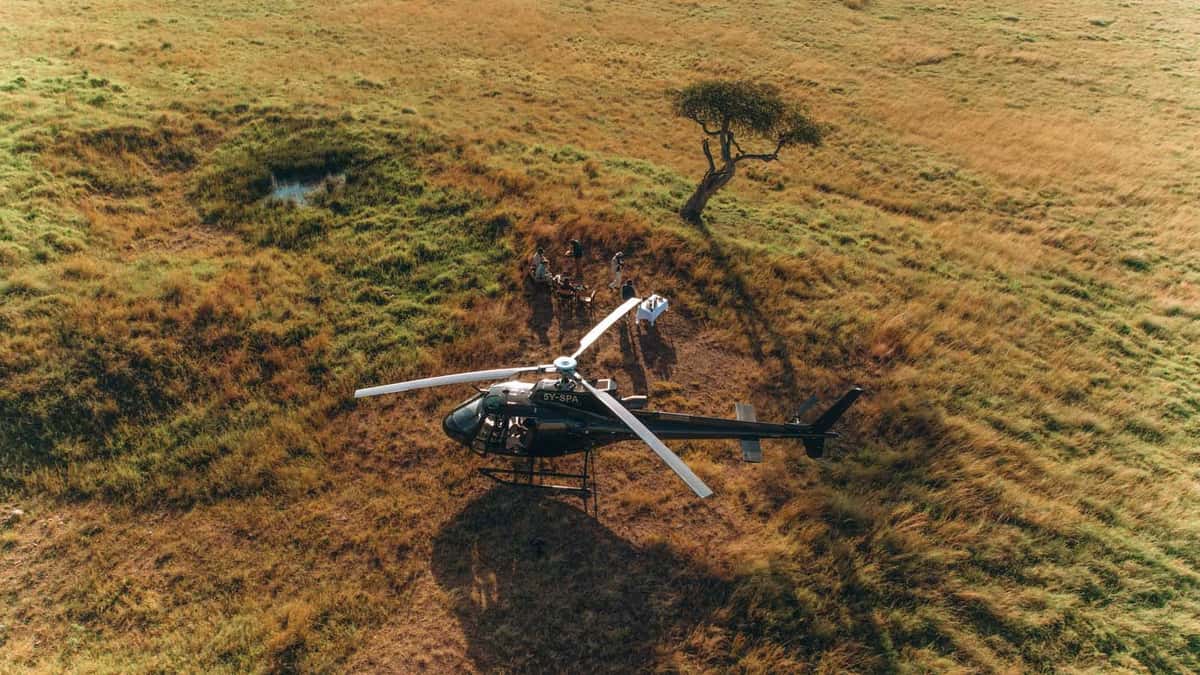 LOIRIEN Mara | Discover the essence of the Mara.